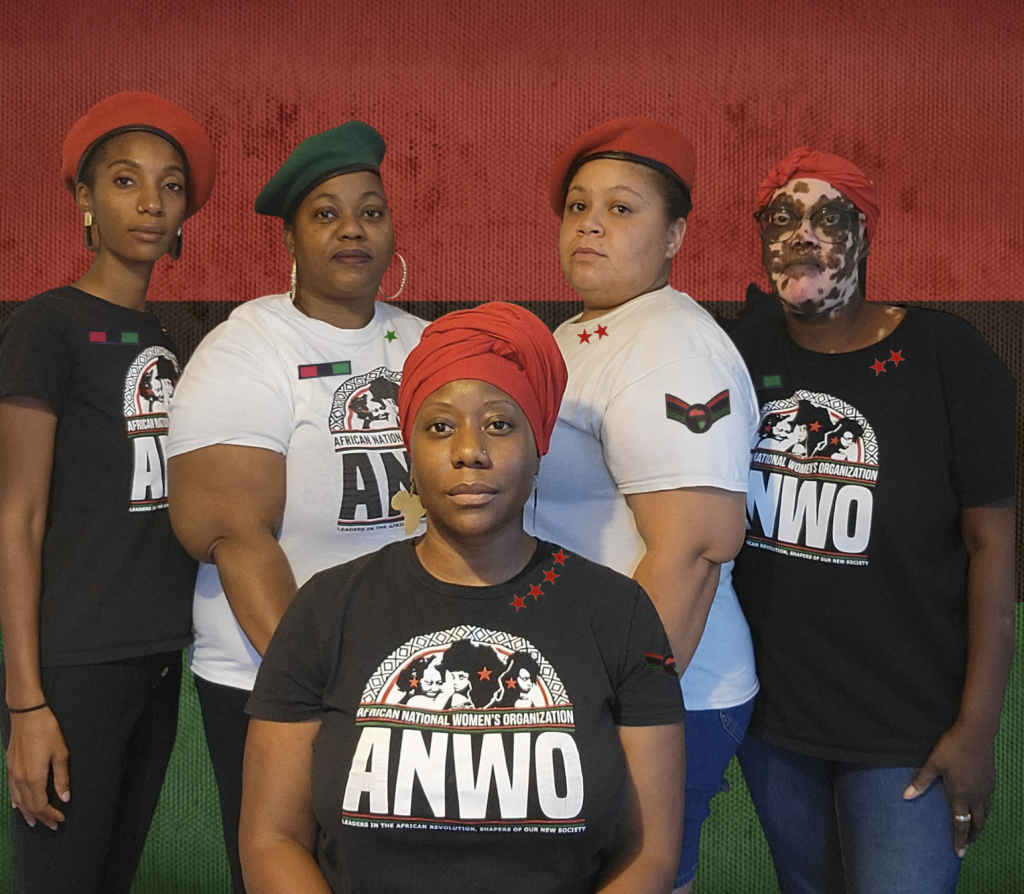 Evolving African National Women's Organization: Advancing Step by Step ...